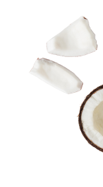 Muse Roll-On Fragrance Oil – Riddle